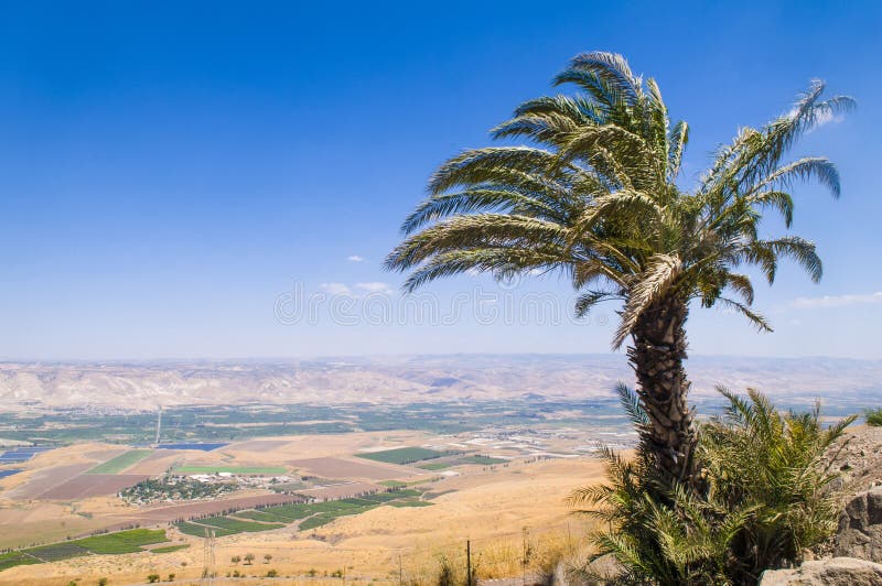 Jordan valley stock image. Image of yellow, nature, north - 28473487