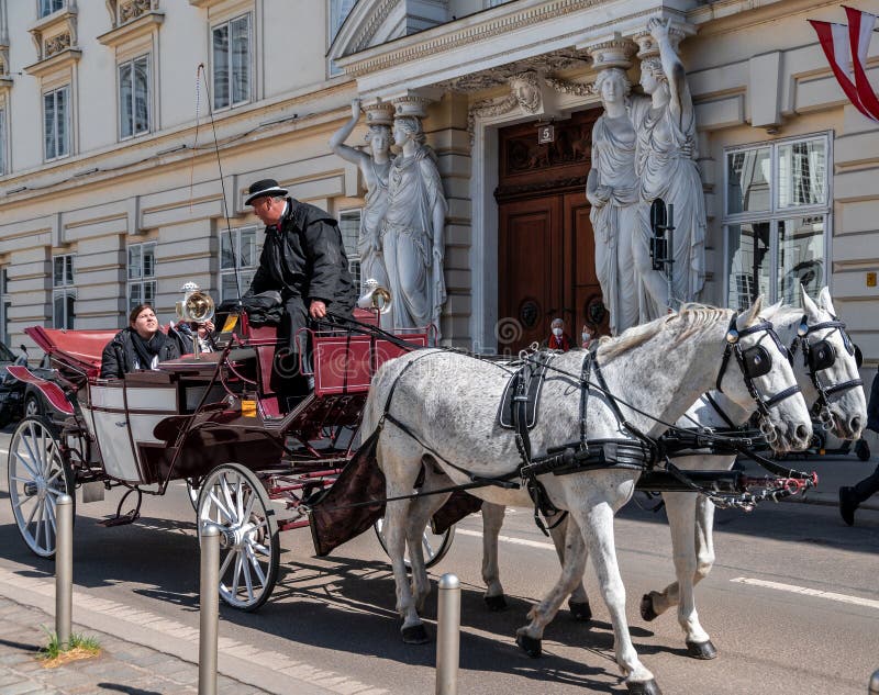 Josephplatz Vienna Horse-drawn Carriages Ride Around the City Center ...
