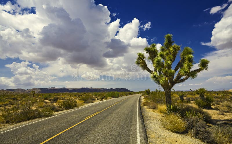 Mojave Sunset stock image. Image of inland, palmdale, desert - 2621171