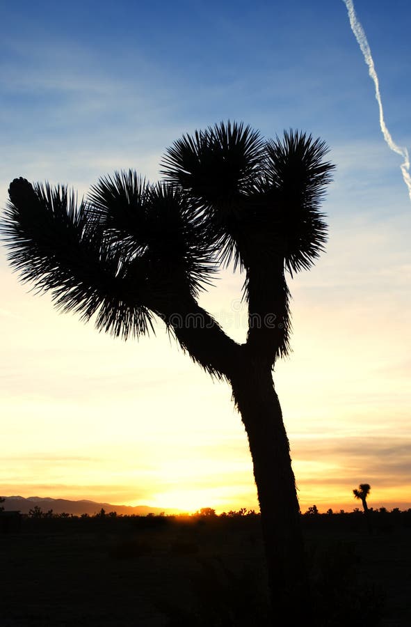 Mojave Sunset stock image. Image of inland, palmdale, desert - 2621171