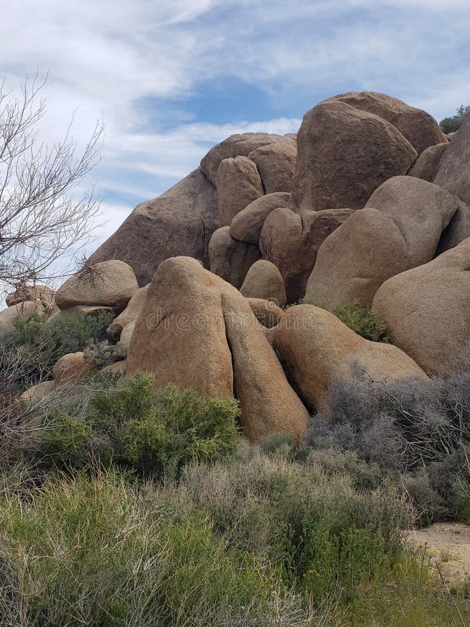 Joshua Tree Desert Hillside Rock Formation Stock Image - Image of tree ...