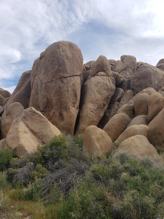 Joshua Tree Desert Rock Formation Stock Photo - Image of tree, joshua ...