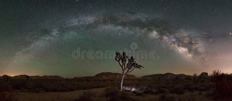 Joshua Tree Milky Way Panorama Stock Photo - Image of star ...