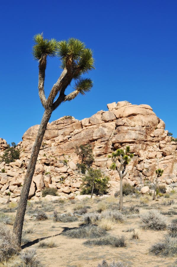Joshua Tree National Park, Jumbo Rocks Stock Image - Image of blue ...