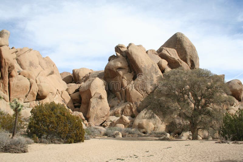 Joshua Tree National Park Landscape Stock Image - Image of outside ...
