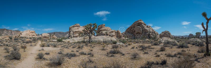 Joshua Tree National Park Milky Way Panorama Stock Image - Image of ...