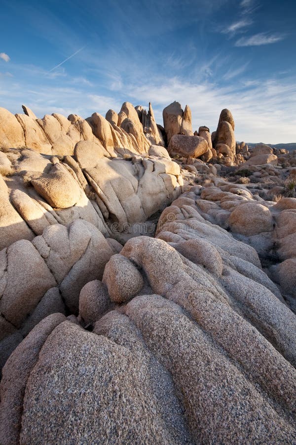 Joshua Tree National Park stock photo. Image of landscape - 36052212