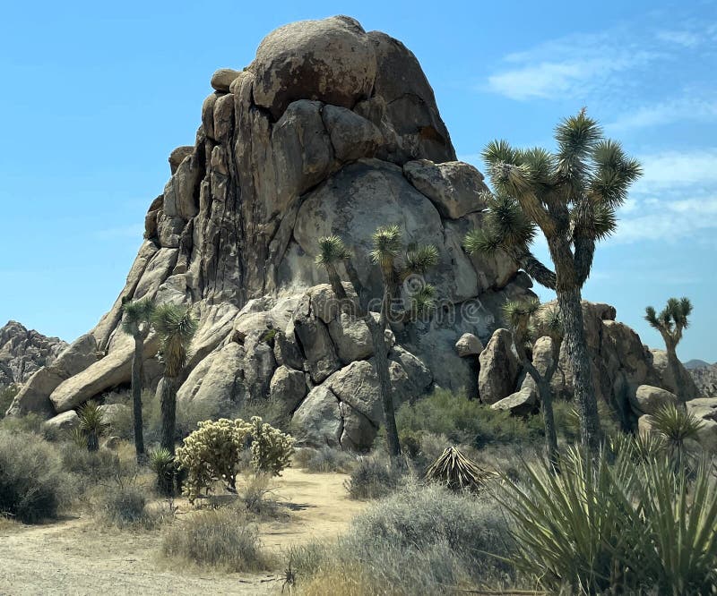 Joshua Tree National Park Scenic Scene Stock Photo - Image of rushing ...