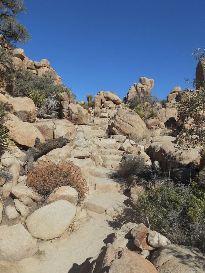 Joshua Tree Park stock image. Image of stone, national - 164486937