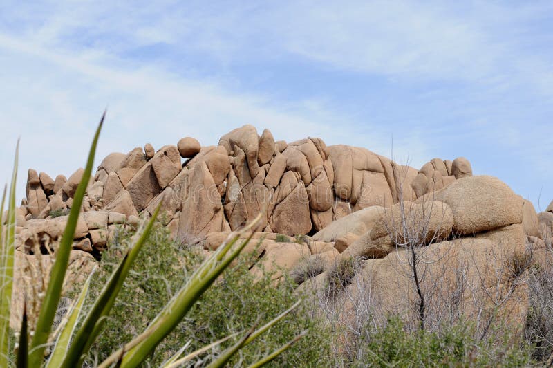 Joshua Tree rocks stock image. Image of plant, hill, topography - 19313113
