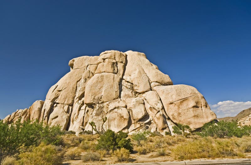 Joshua Tree with Rocks in Joshua Stock Image - Image of geology, desert ...