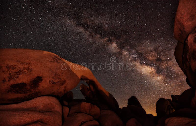 Noite Estrelada Em Joshua Tree Imagem de Stock - Imagem de estrelado ...