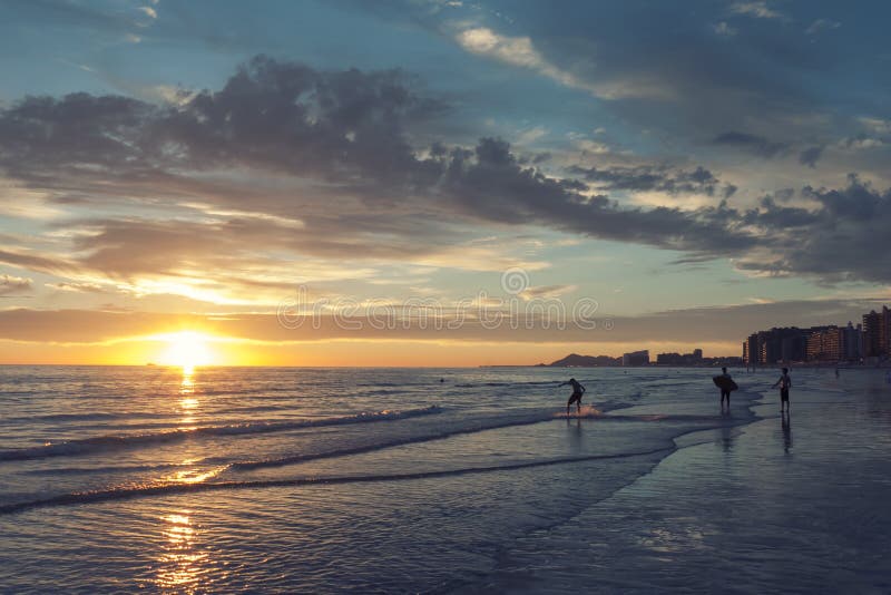 Jouer Dans Le Ressac De La Mer De Cortez Photo stock - Image du point ...