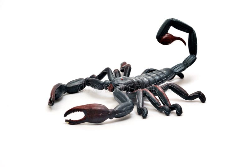 Jouet de scorpion photo stock. Image du fond, isolement - 11095056