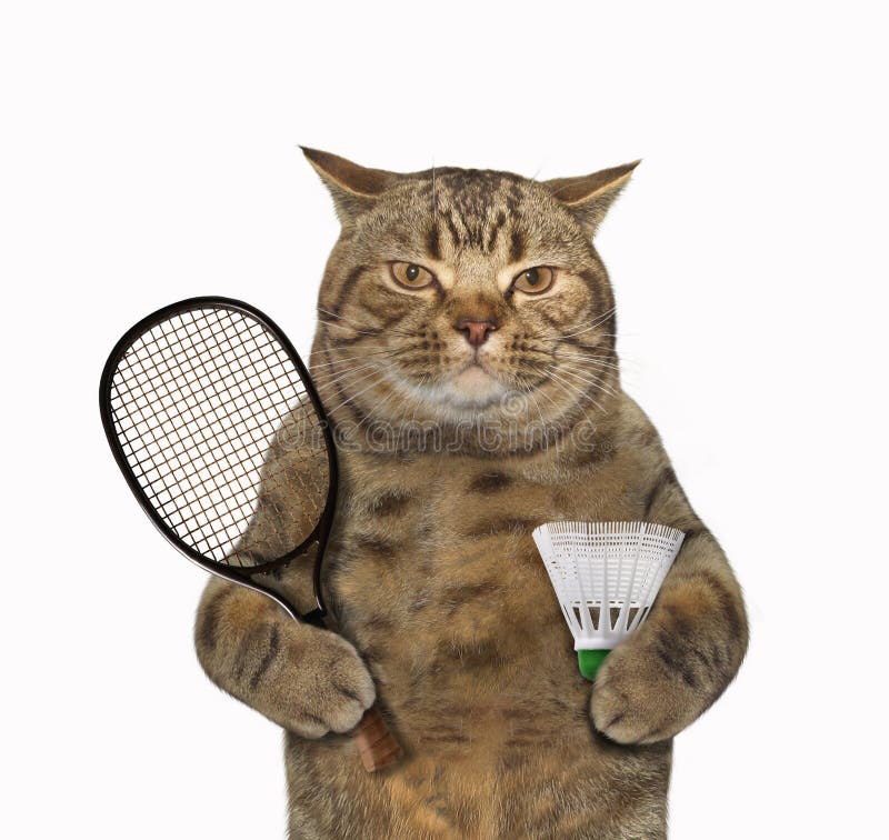 Joueur De Badminton De Chat Image stock - Image du sport, coup: 93216075