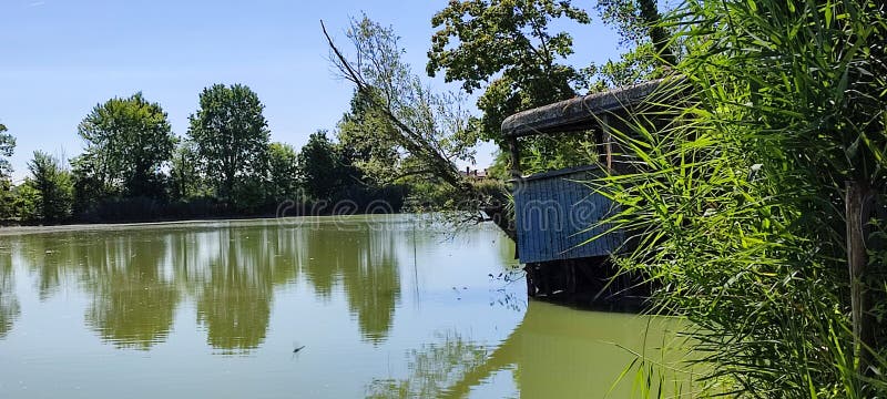 Jouney at lake stock image. Image of birdwatching, lake - 251371013