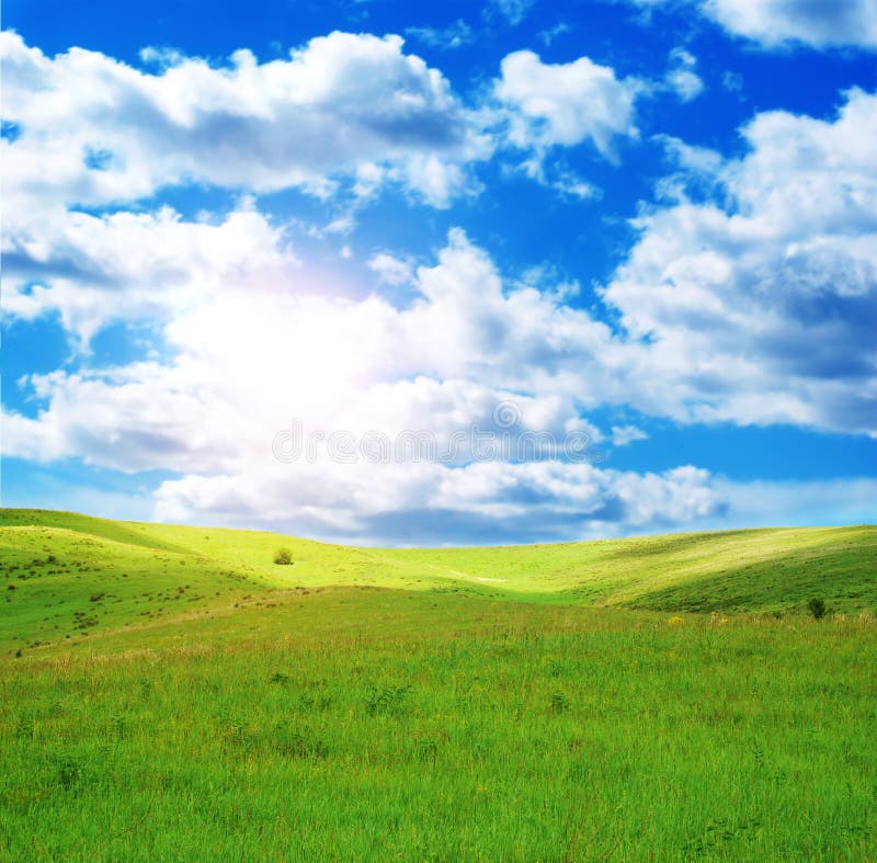 Paysage De Printemps Ensoleillé Avec Petit étang Avec Des Oiseaux Photo ...