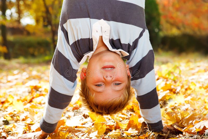 Jour ensoleillé image stock. Image du lames, automnal - 26694239