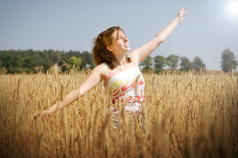 Jour Ensoleillé Sur La Zone De Blé Image stock - Image du beau ...