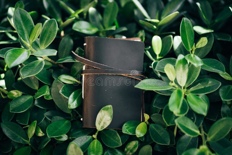 Journal in Bush stock image. Image of aesthetic, book - 141046255