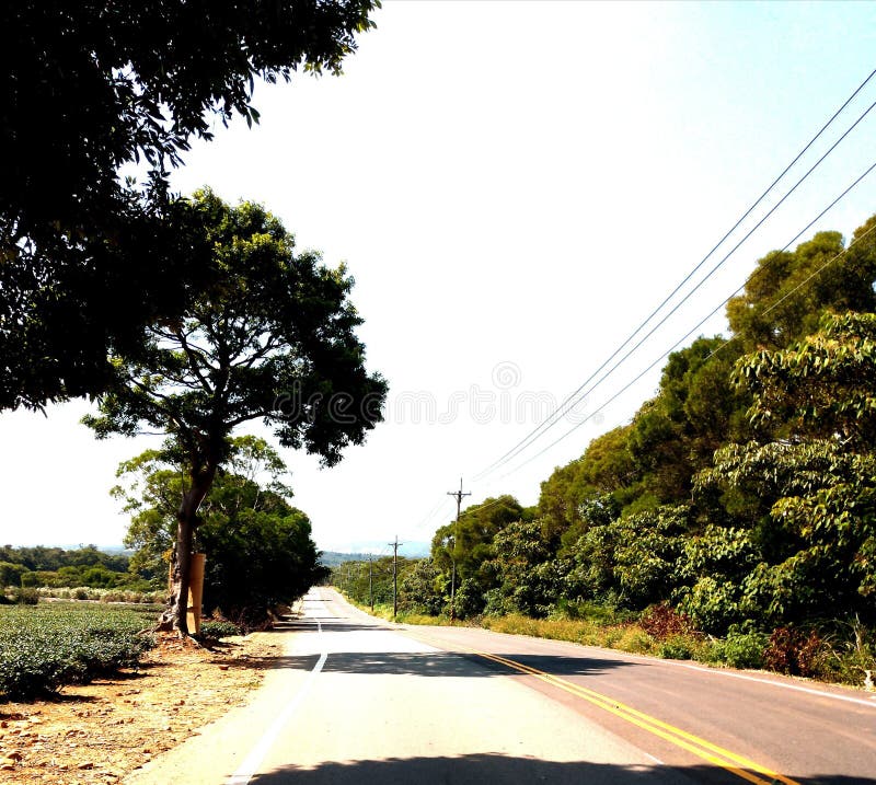 Road to the path stock photo. Image of road, live, destination - 161454980