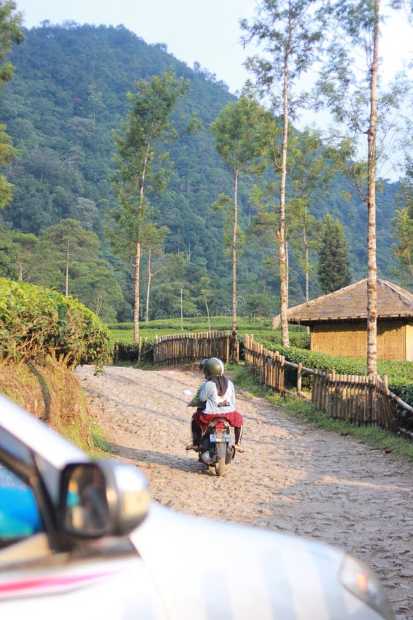 Journey To the Lake at the Peak of Bogor, West Java, Indonesia ...