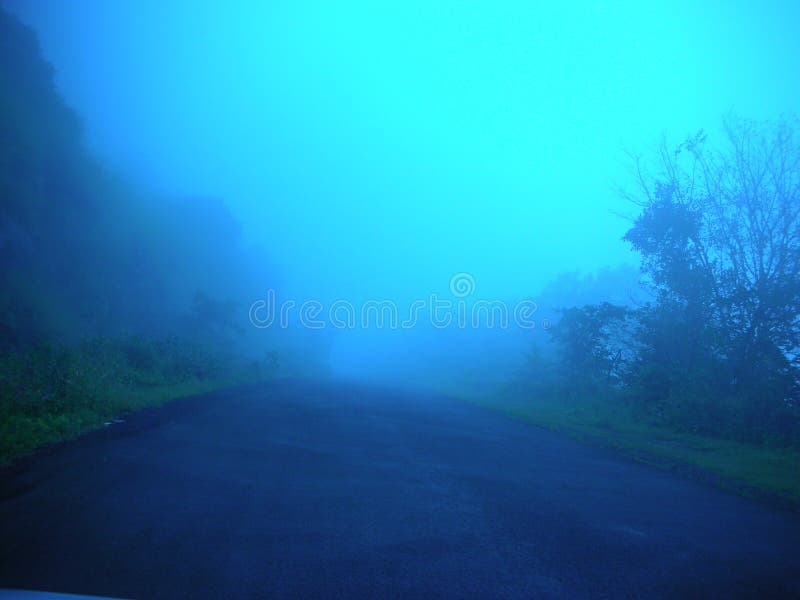 A Journey To an Unknown Place Stock Photo - Image of floral, evening ...