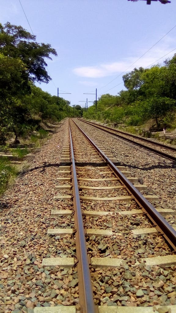 The journey tree forward stock photo. Image of tree - 173030758