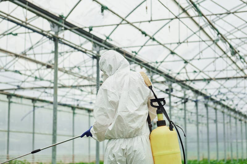 Joven Trabajadora De Invernadero Con Uniforme Protector Blanco Completo ... Joven Trabajadora De Invernadero Con Uniforme Protector Blanco Completo ...