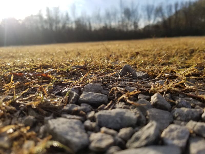 Joy of outside fall stock photo. Image of rock, nature - 204113952