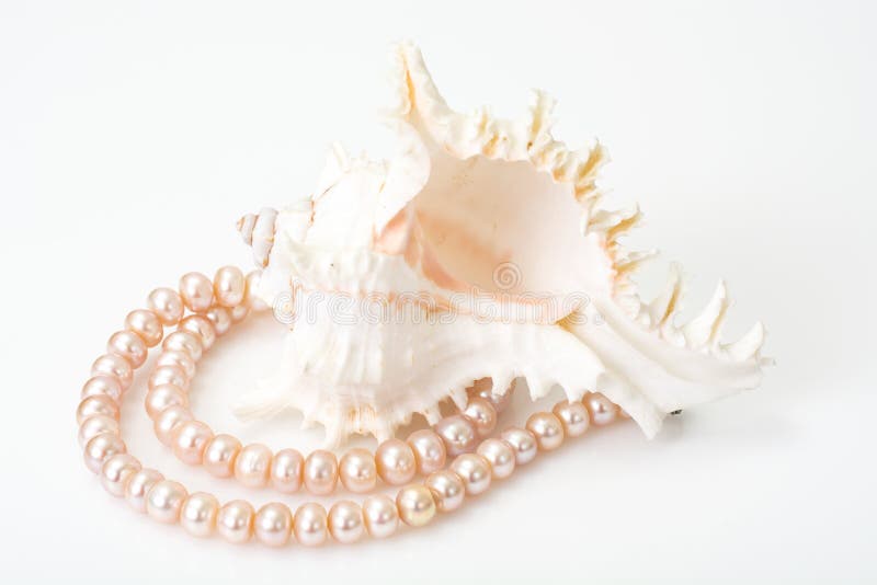 870 Perlas Rosadas Fotos - Libres de Derechos y Gratuitas de Dreamstime