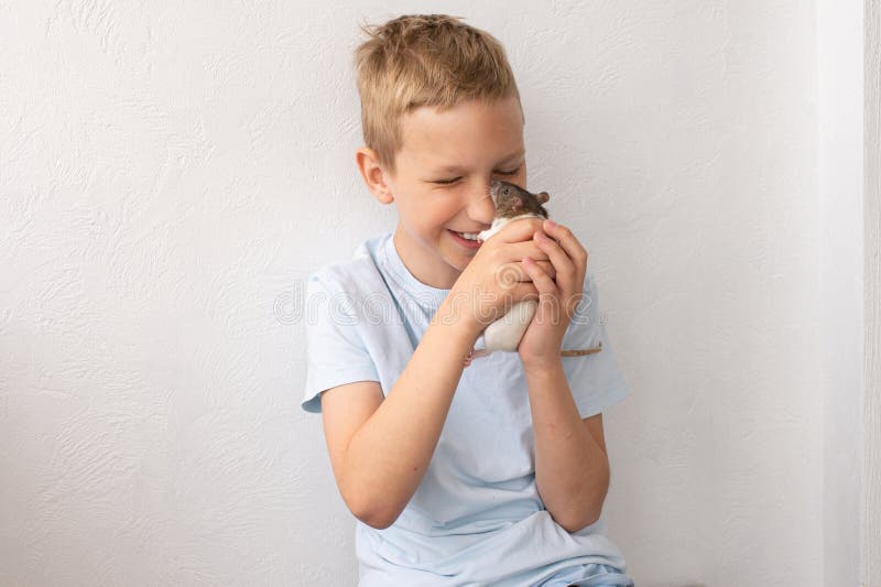 Joyful Boy Holding and Laughing with Pet Rat at Home Stock Photo ...