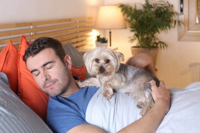 Joyful Man in Bed with His Dog Stock Image - Image of lying, animal ...