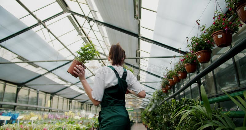 Joyful Rhythm of Greenery: Dancing with Plants in a Specialized Store ...