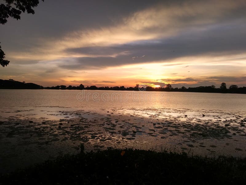 Joysagar pond stock image. Image of asia, biggest, pond - 126083521