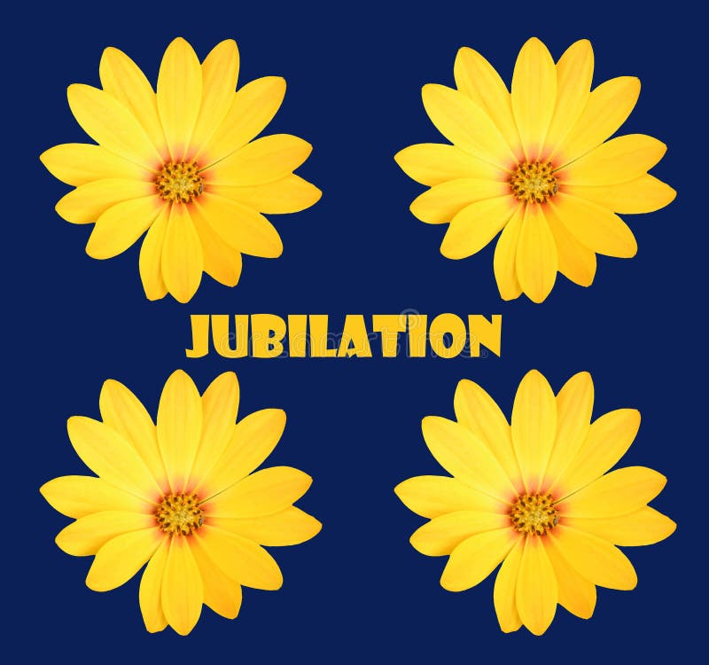 Jubilation Stock Illustrations – 12,724 Jubilation Stock Illustrations ...