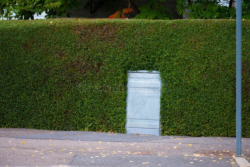Juction Box Partially Hidden in a Hedge.. Stock Photo - Image of ...