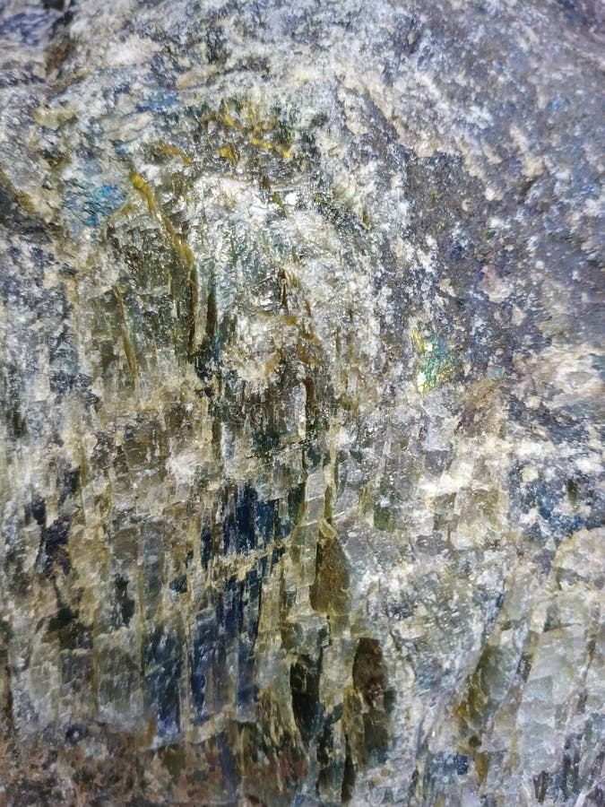 Jude in stone stock photo. Image of plant, frost, formation - 217130372