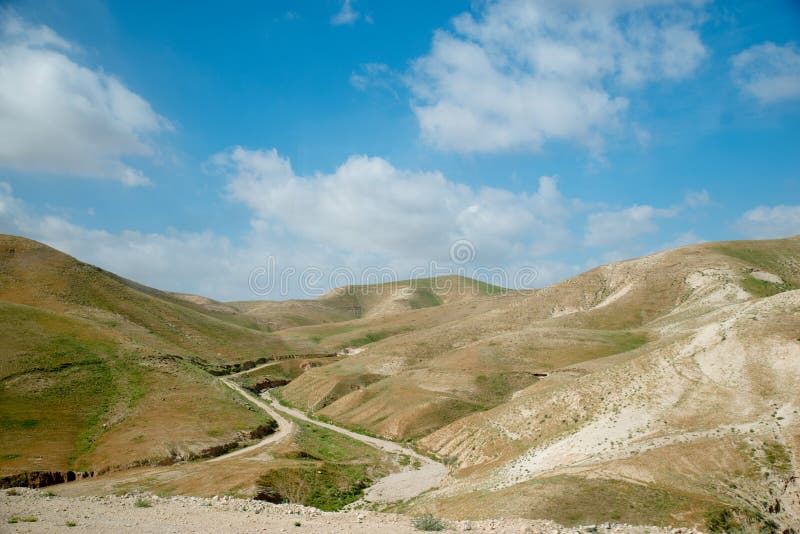 Judean Desert Israel at Spring Stock Photo - Image of nature, blossom ...