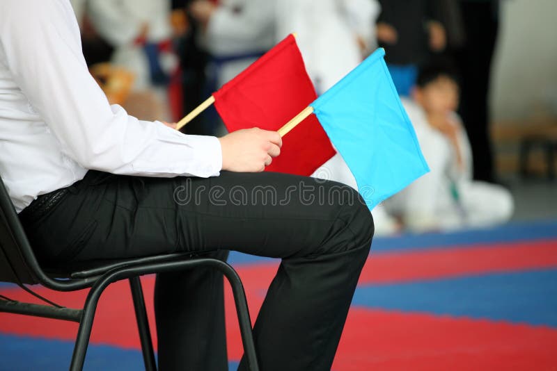 Line Judge during First Round Match between Christina McHale and Julia ...
