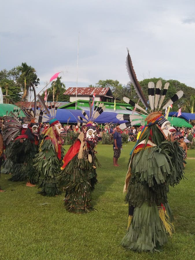 This is the Hudo Dance from the Tribe of East Kalimantan Editorial ...