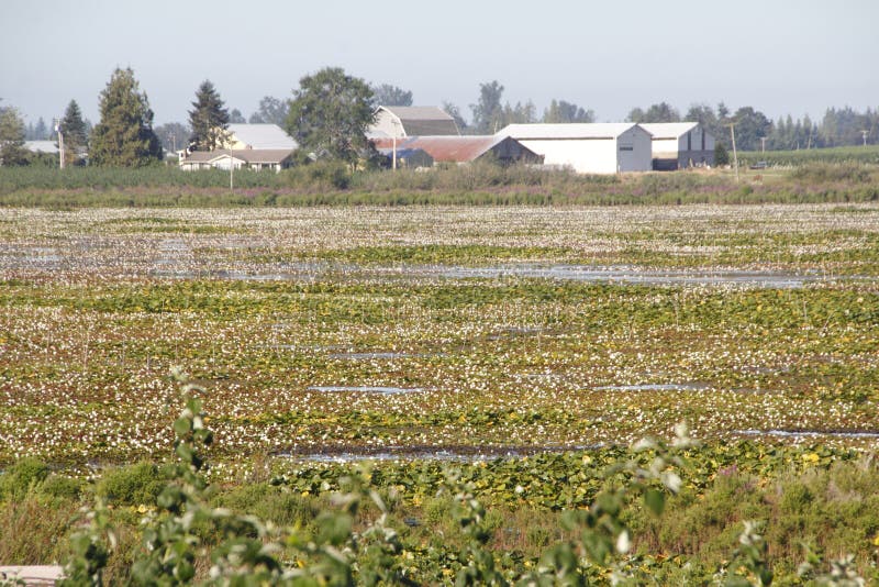 Judson Lake Stock Photos - Free & Royalty-Free Stock Photos from Dreamstime