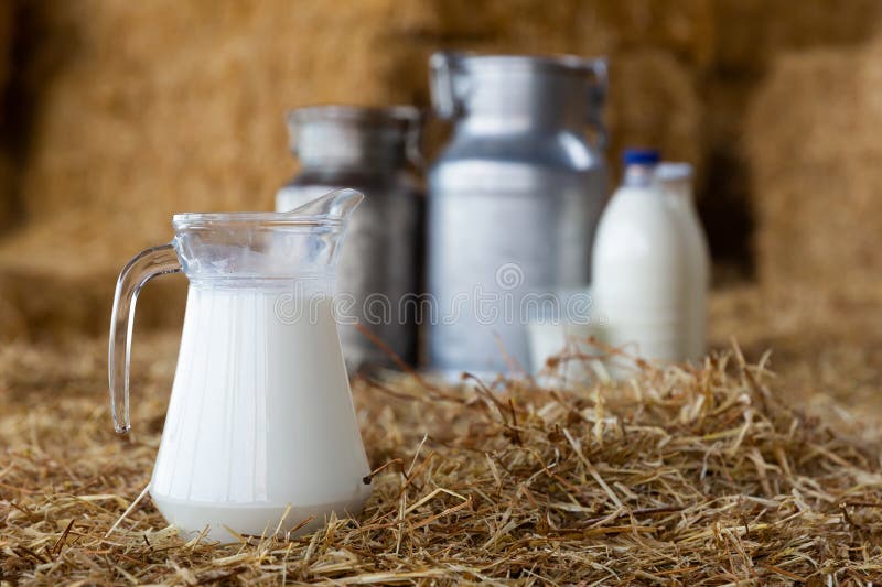 Jug; Cans and Glass with Milk on Hay Stacks Stock Image - Image of ...
