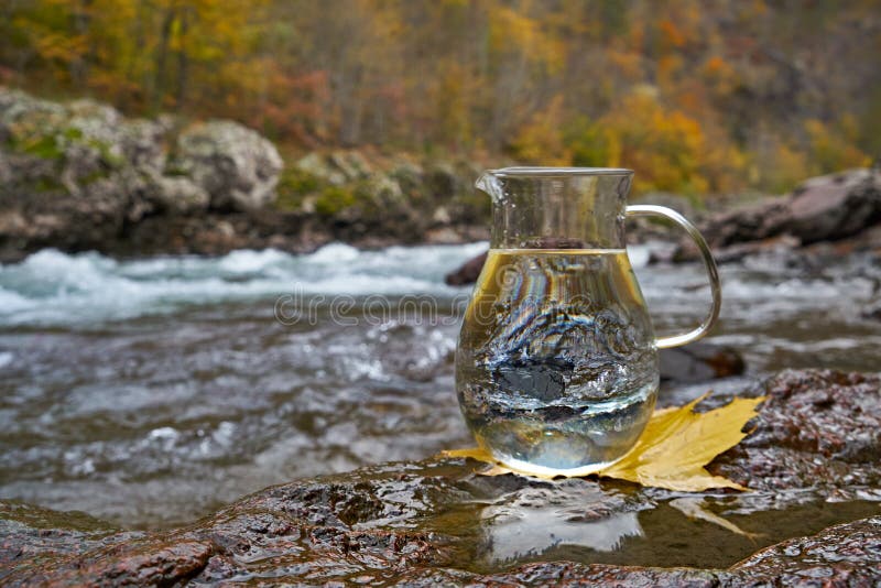 Jug of a Pure River of Water Stock Photo - Image of foliage, pitcher ...