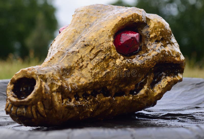 Jugger skull stock image. Image of golden, sitting, skull - 81694575