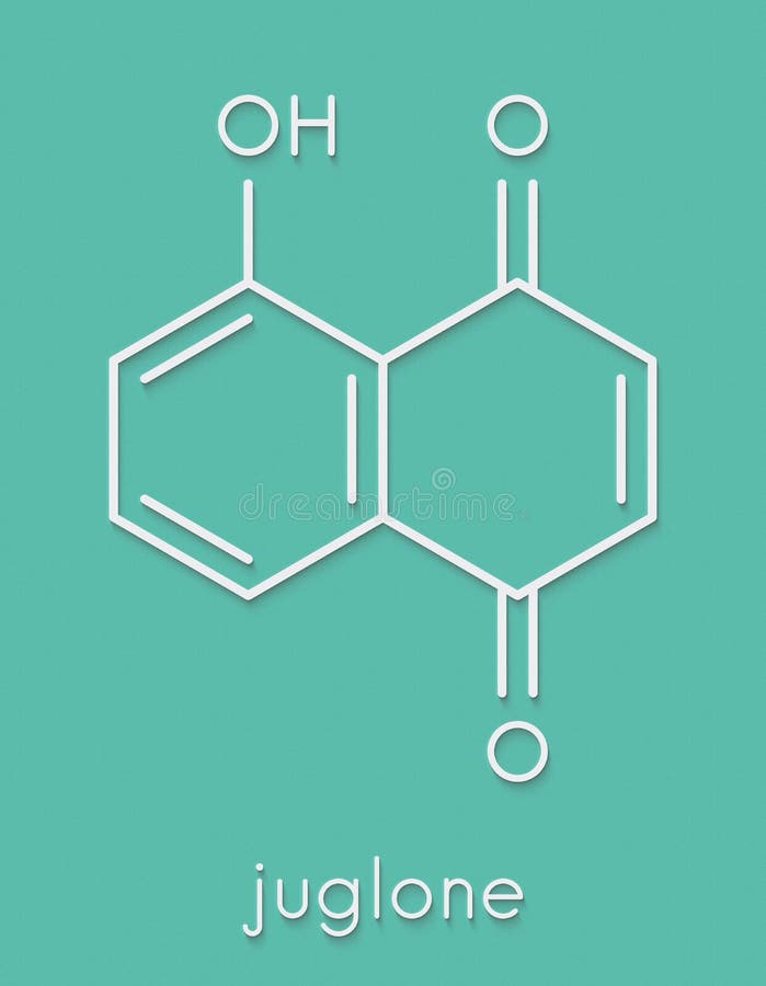 Juglone Walnut Molecule. Skeletal Formula. Stock Illustration ...