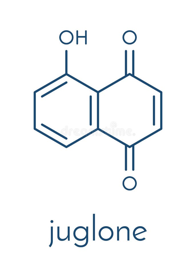 Juglone Walnut Molecule. Skeletal Formula. Stock Vector - Illustration ...
