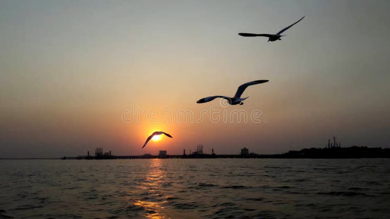 Juhu Beach Sunset, Mumbai Suburban Stock Photo - Image of sunset, beach ...