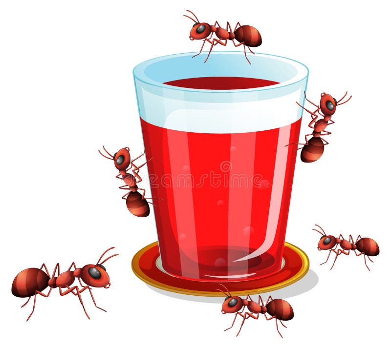 Juice and ants stock vector. Illustration of bugs, organism - 43863909