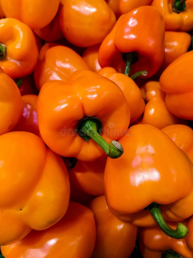 Orange peppers. stock image. Image of plant, store, produce - 283677549